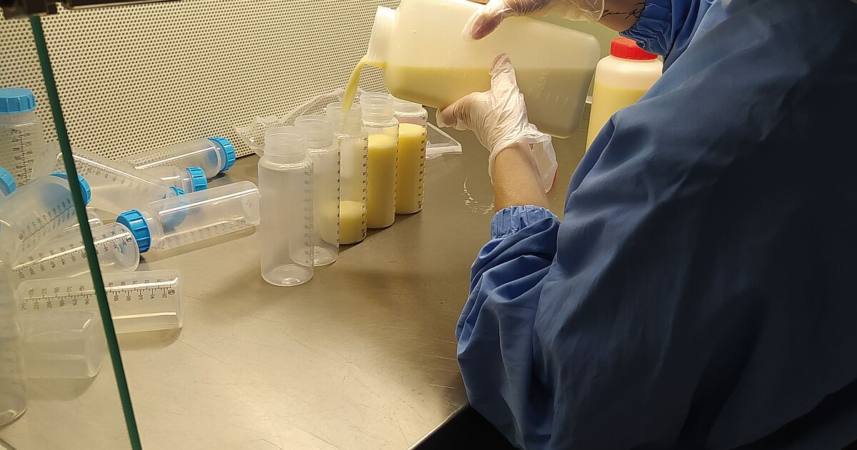 Lactarium - CHU de Montpellier