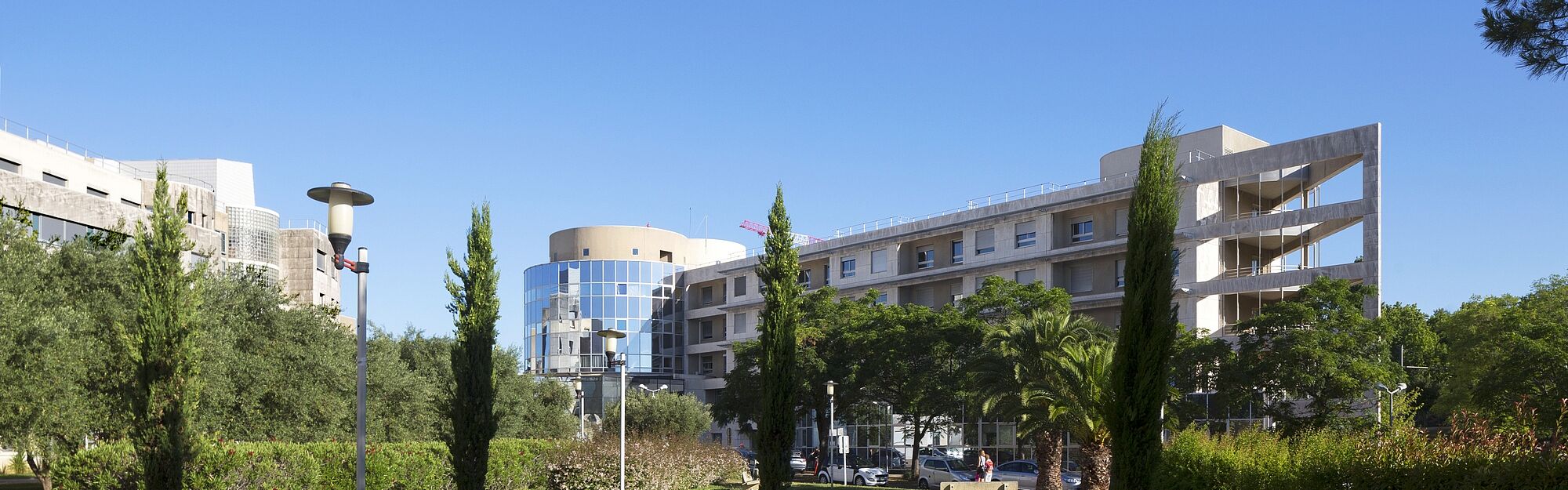 Arnaud de Villeneuve - CHU de Montpellier