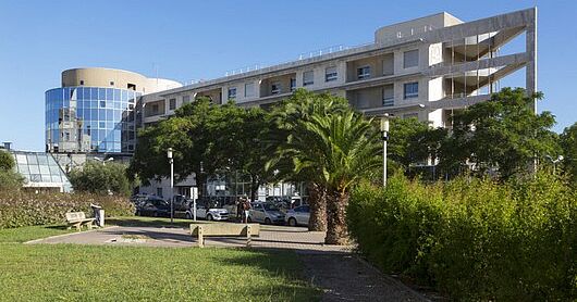 Arnaud de Villeneuve - CHU de Montpellier