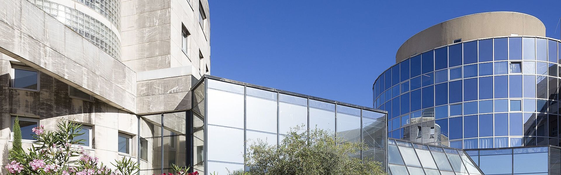 À propos du CHU - CHU de Montpellier